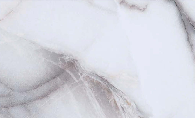 High Gloss Pet Marble (1,22X2,44) | Luceo