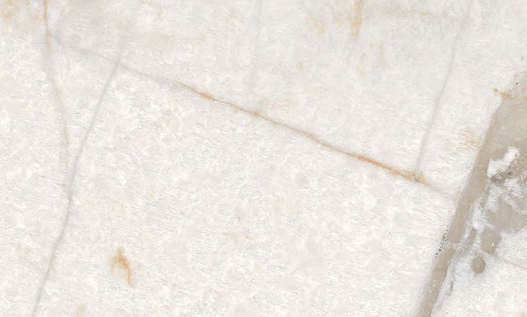 High Gloss Pet Marble (1,22X2,44) | Luceo